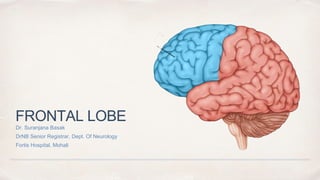 Frontal Lobe.pptx