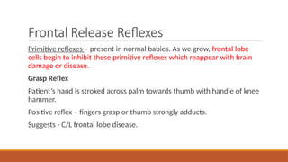 anatomy and clinical relevance of Frontal lobe | PPTX