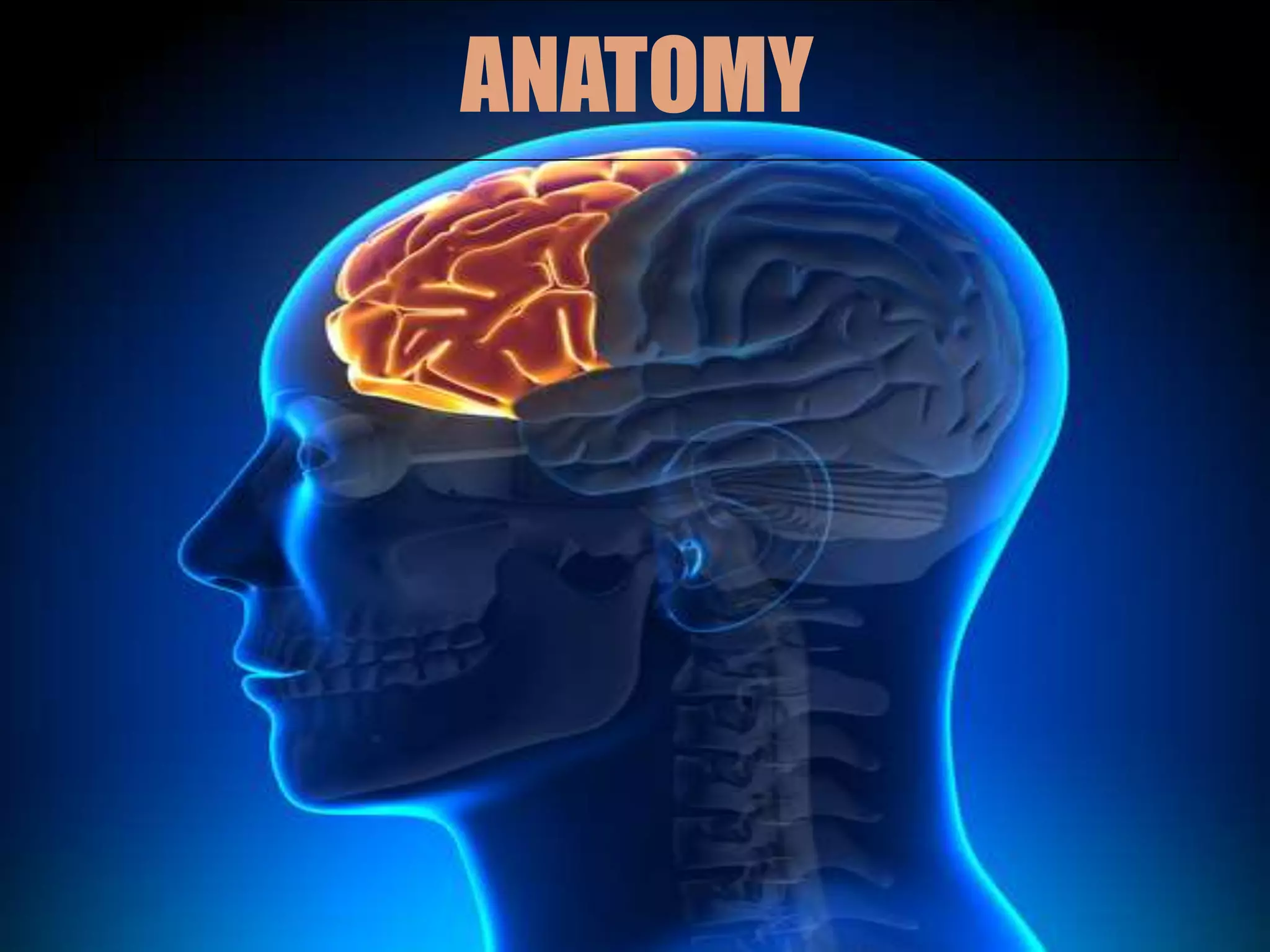 Frontal lobe relation to psychiatry | PPTX