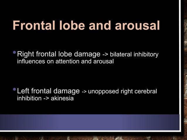 Frontal lobe relation to psychiatry | PPTX | Brain and Nervous System ...