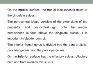 FRONTAL LOBE ANATOMY AND FUNCTION 1n.pptx