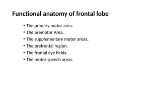 Frontal lobe anatomy and clinical application.pptx