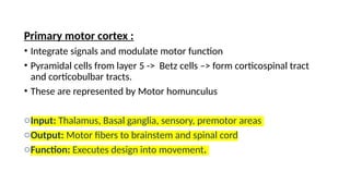 Frontal lobe anatomy and clinical application.pptx