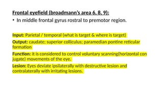 Frontal lobe anatomy and clinical application.pptx
