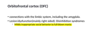 Frontal lobe anatomy and clinical application.pptx