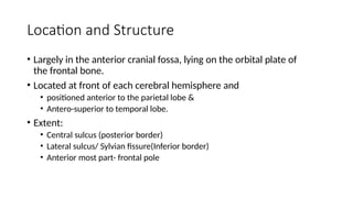 Frontal lobe anatomy and clinical application.pptx