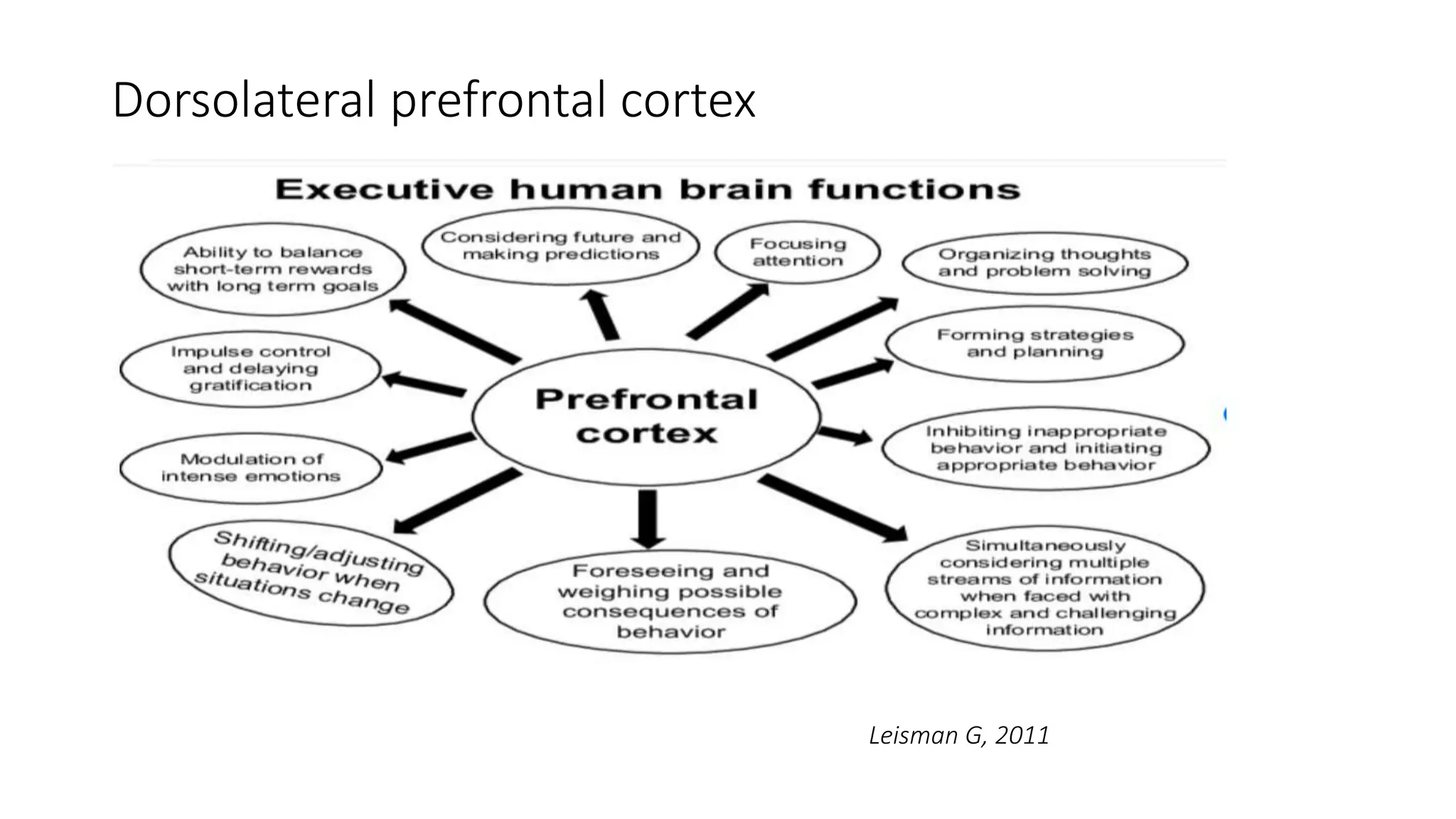 Frontal lobe cognitive functions | PPTX