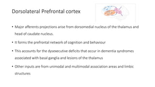 Frontal lobe cognitive functions | PPTX