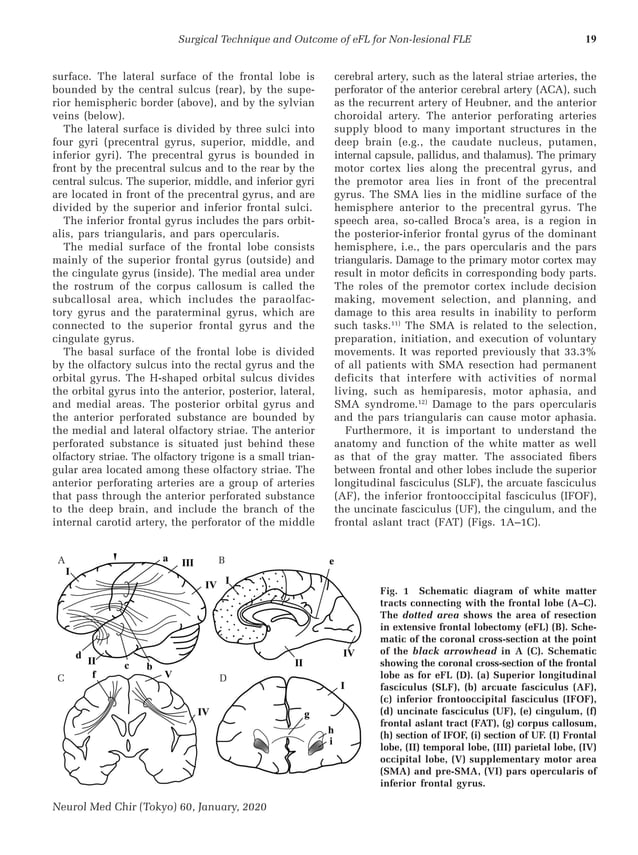frontal lobectomy.pdf 11 surgical details | PDF | Brain and Nervous ...