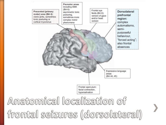 Frontal lobe epilepsy