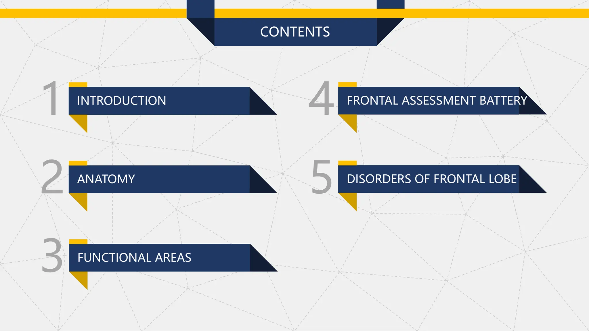 Frontal Lobe ppt Psychiatry ppt ppt.pptx