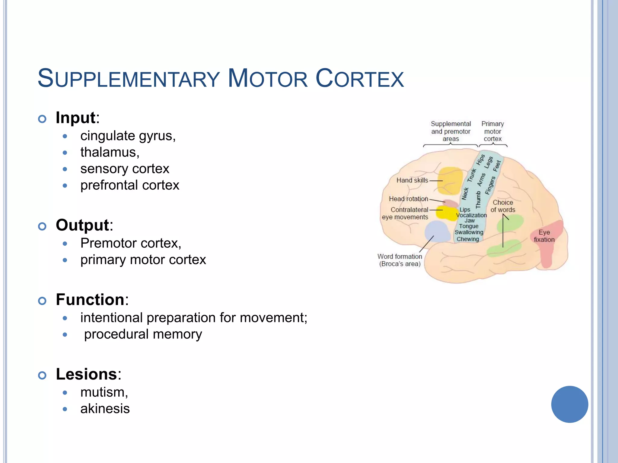 Frontallobe dr prashant mishra | PPTX