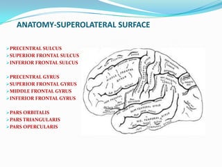 Frontal lobe &psychiatry- ppt | PPTX