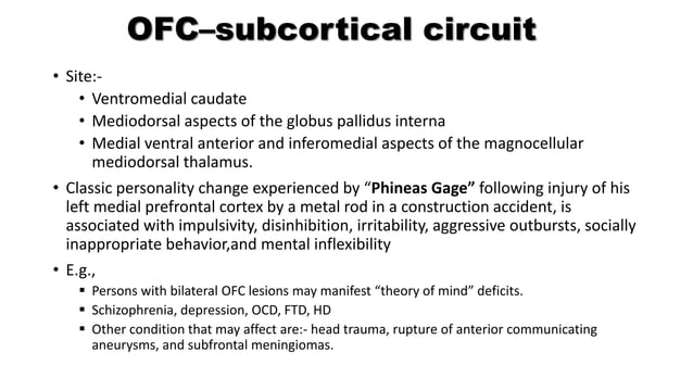 Frontal lobe & subcortical circuits | PPTX | Brain and Nervous System ...