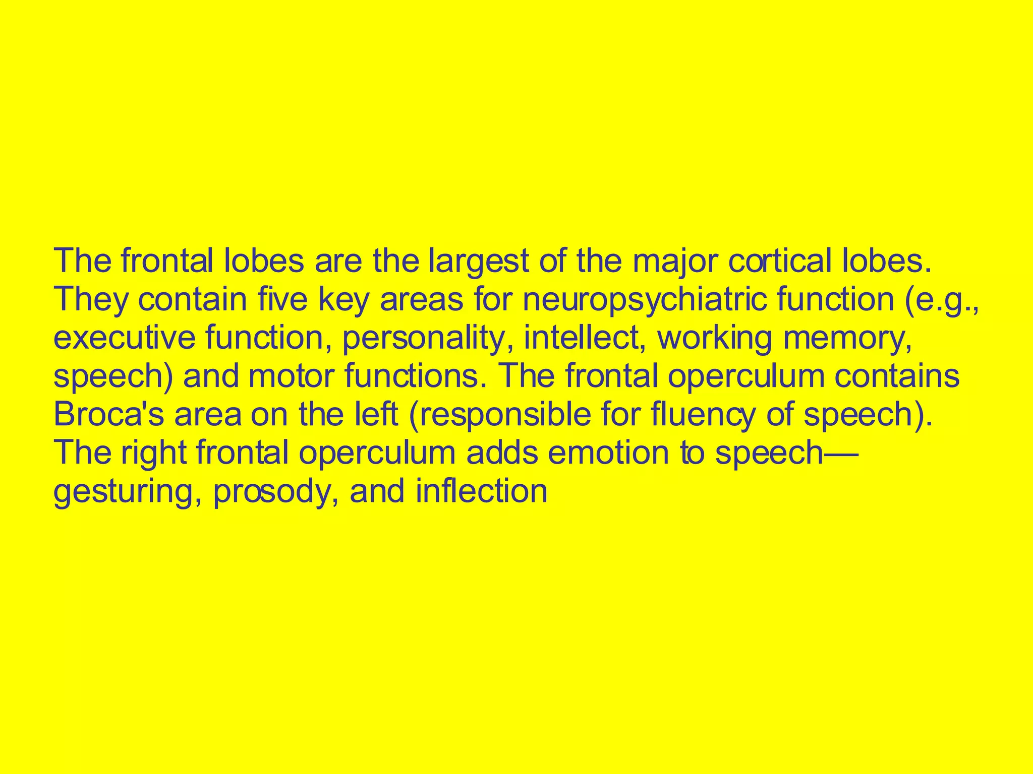 Frontal Lobe Syndrome | PPT