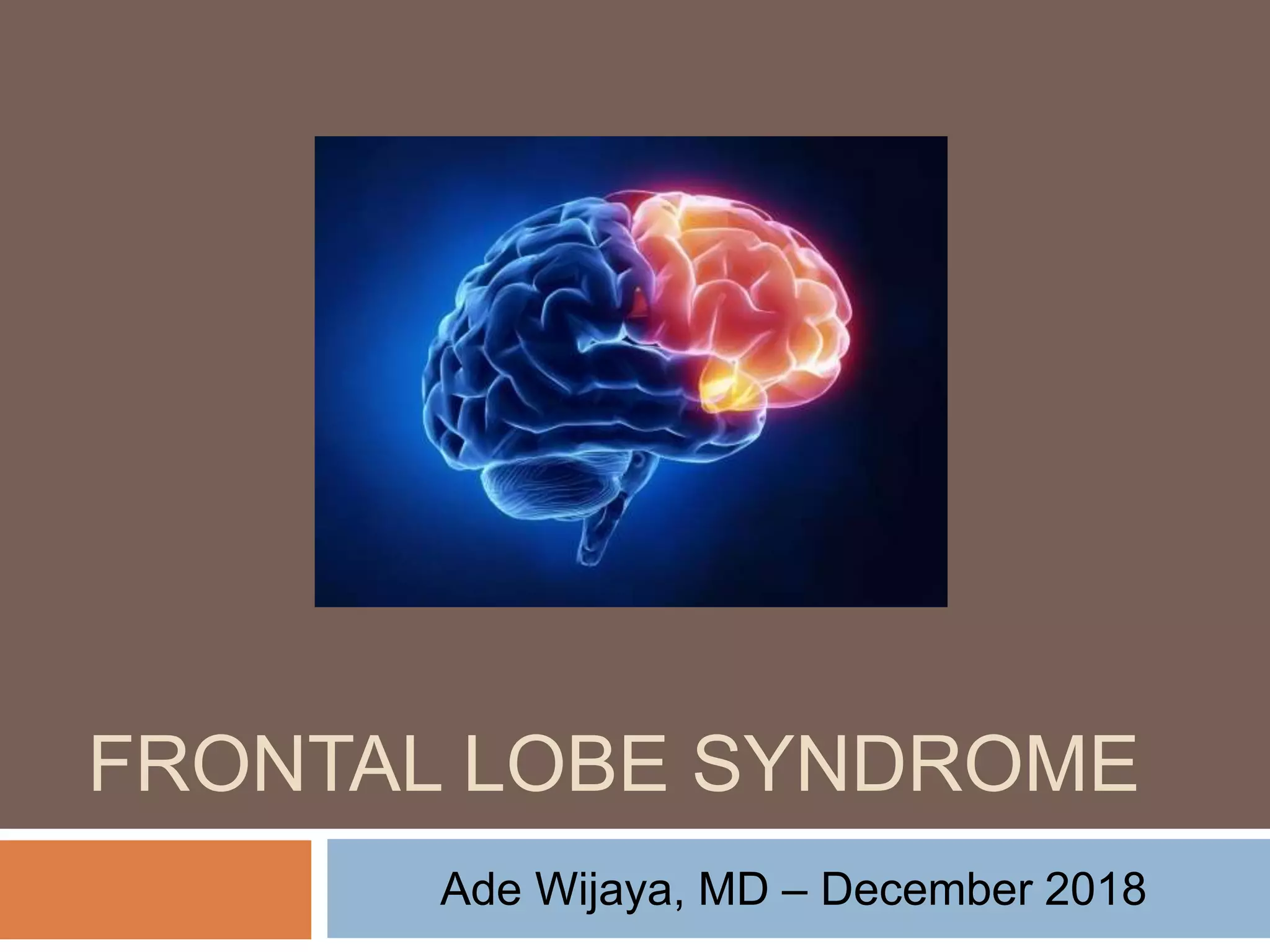 Frontal Lobe Syndrome | PPTX