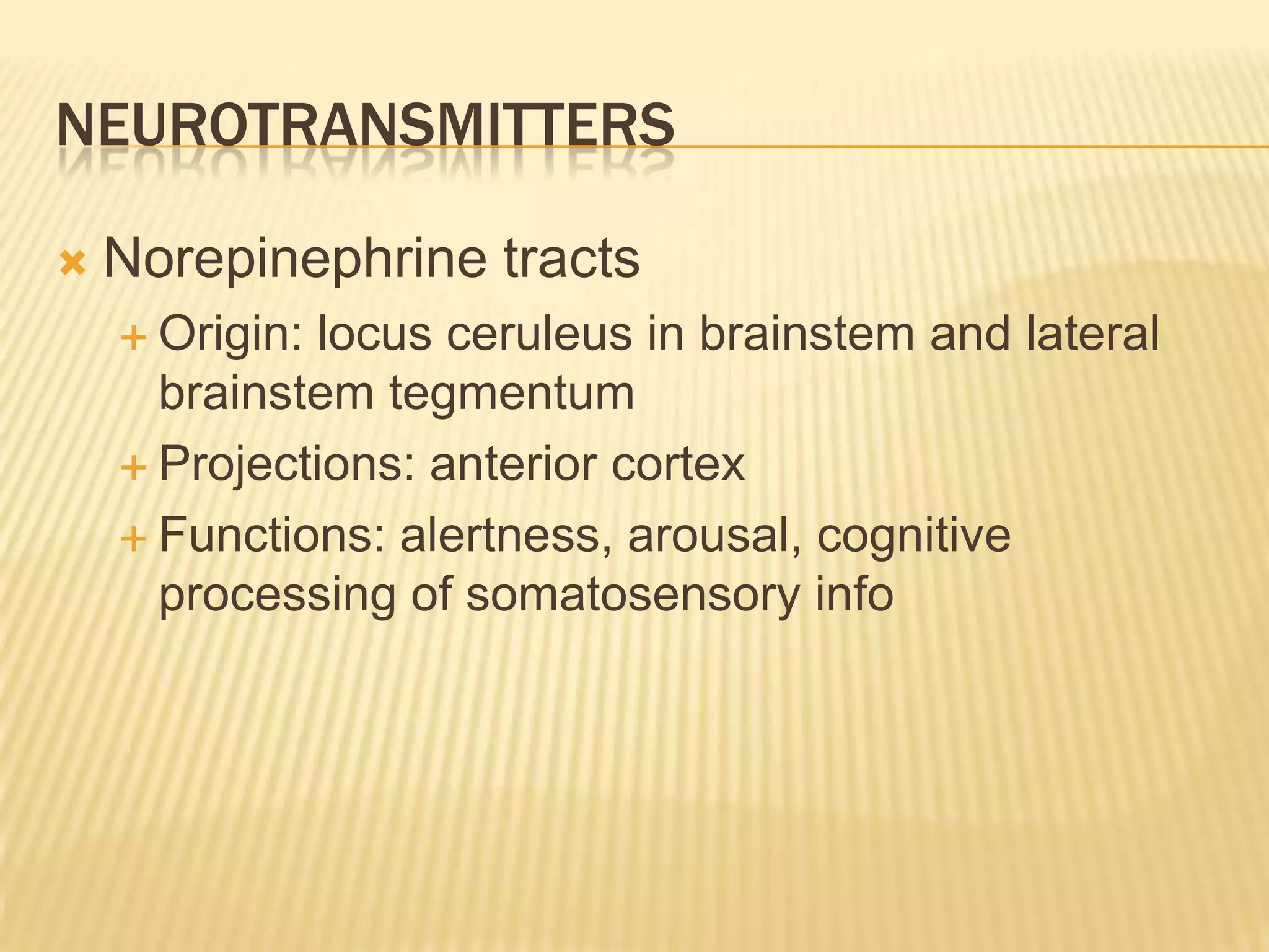 Frontal lobe syndromes | PPTX