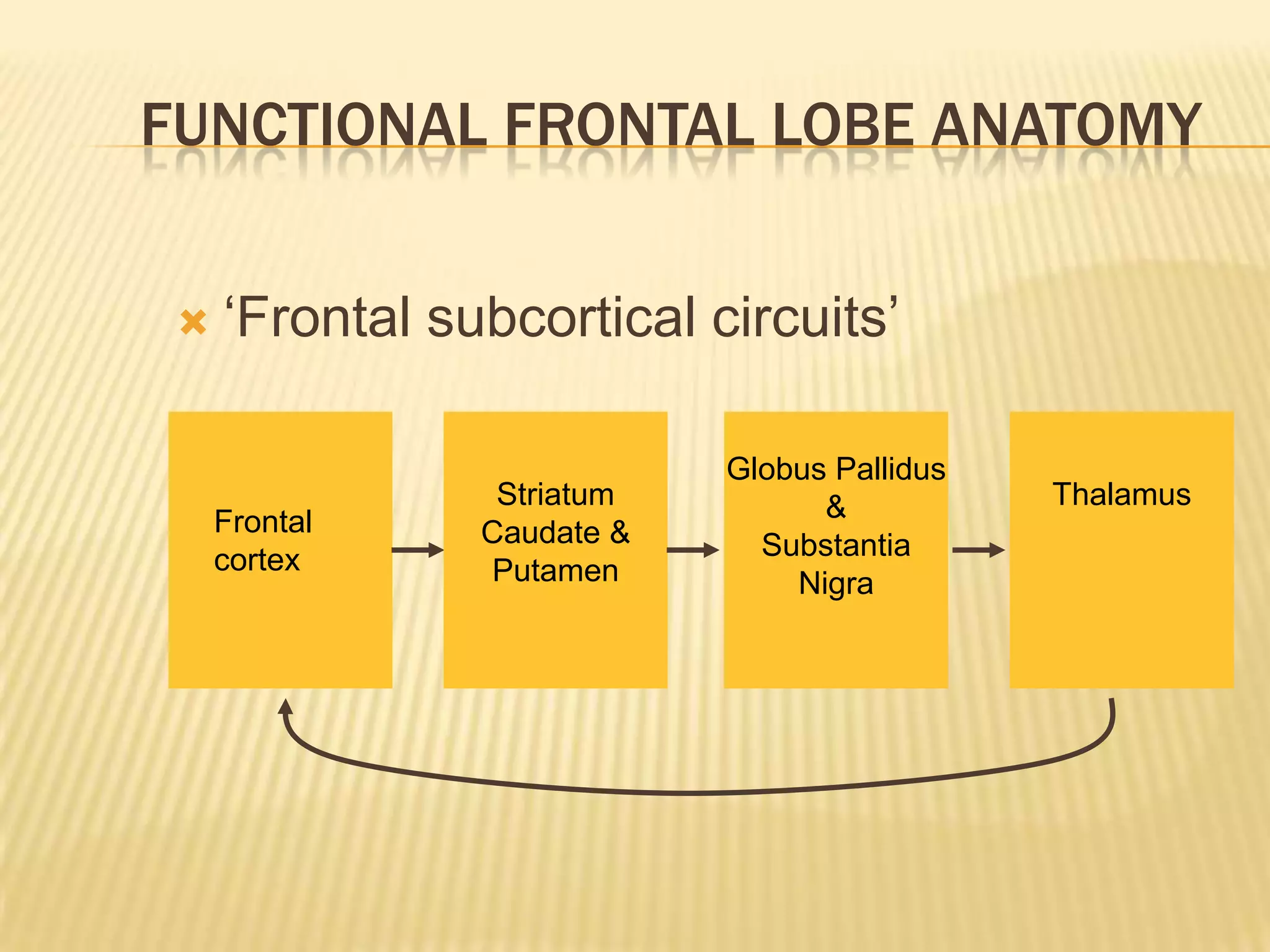 Frontal lobe syndromes | PPTX