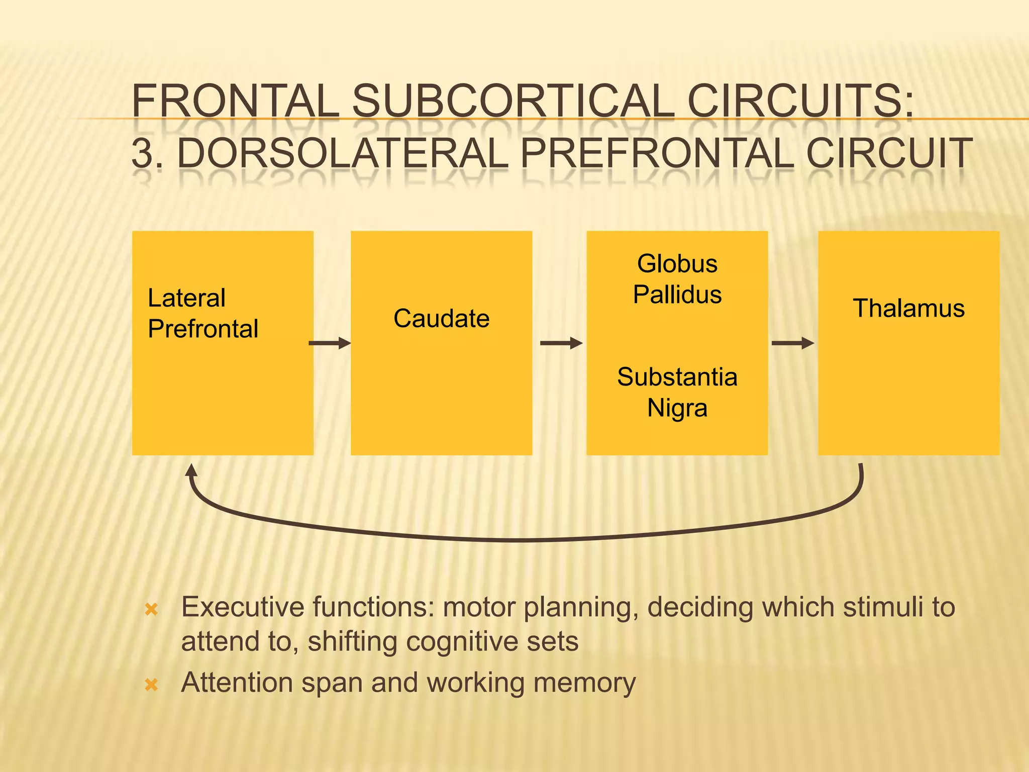 Frontal lobe syndromes | PPTX