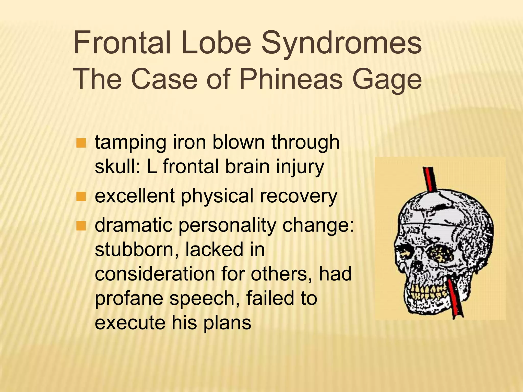 Frontal lobe syndromes | PPTX
