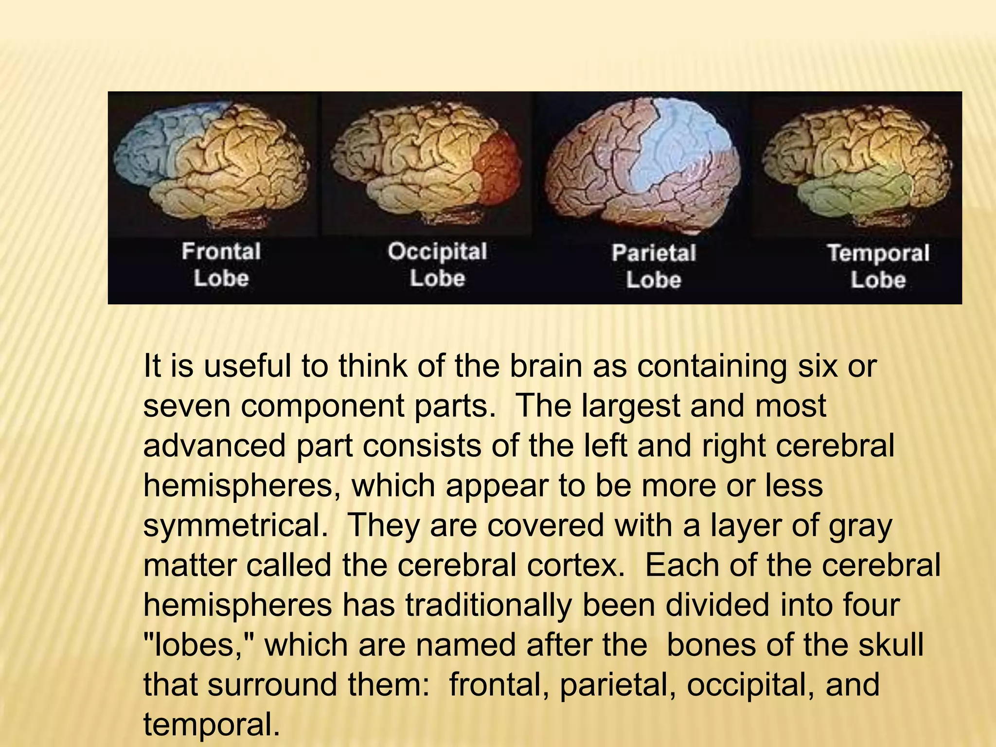 Frontal lobe syndromes | PPTX