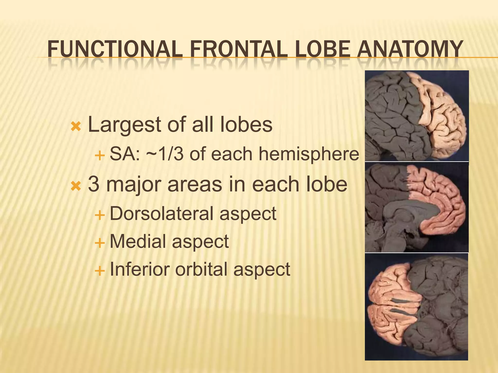 Frontal lobe syndromes | PPTX