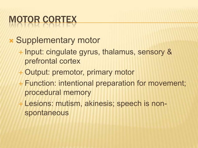 Frontal lobe syndromes | PPTX | Brain and Nervous System Disorders ...