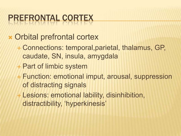 Frontal lobe syndromes | PPTX | Brain and Nervous System Disorders ...