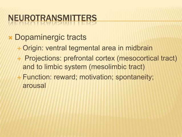 Frontal lobe syndromes | PPTX | Brain and Nervous System Disorders ...