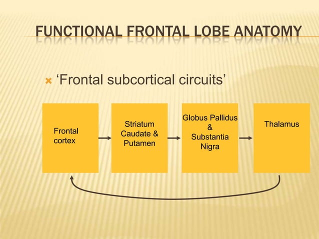 Frontal lobe syndromes | PPTX | Brain and Nervous System Disorders ...