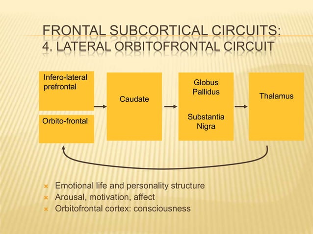 Frontal lobe syndromes | PPTX | Brain and Nervous System Disorders ...