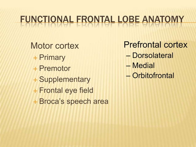 Frontal lobe syndromes | PPTX | Brain and Nervous System Disorders ...