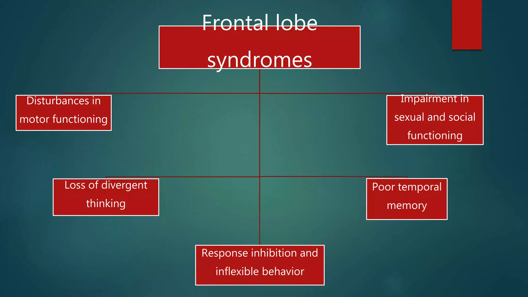 Frontal lobe syndromes | PPTX