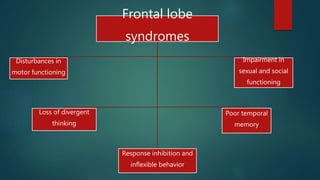 Frontal lobe syndromes | PPTX