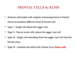 Approach to frontal sinus. Presentation. | PPTX