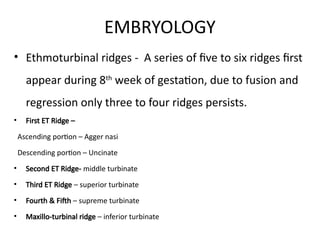 Approach to frontal sinus. Presentation. | PPTX