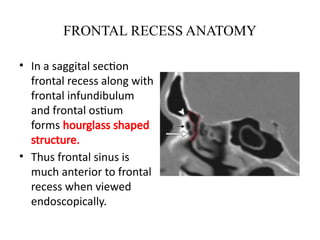 Approach to frontal sinus. Presentation. | PPTX
