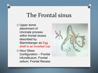 Frontal sinus procedures | PPT