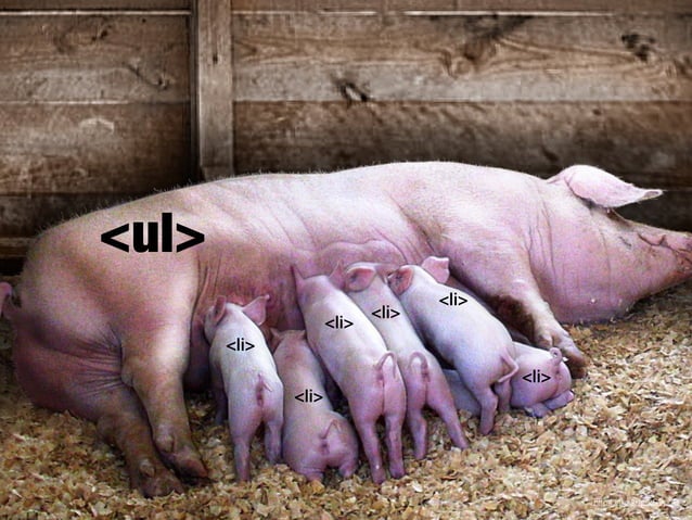 CSS Pseudo Classes | PPT