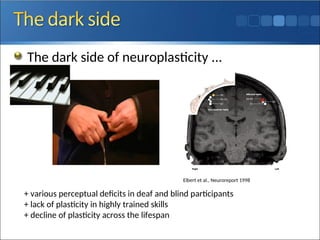 Frontiers_Measuring_plasticity_with_MRI_in_humans1.ppt