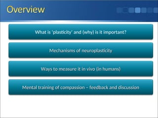 Frontiers_Measuring_plasticity_with_MRI_in_humans1.ppt