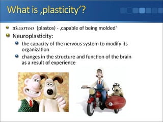 Frontiers_Measuring_plasticity_with_MRI_in_humans1.ppt