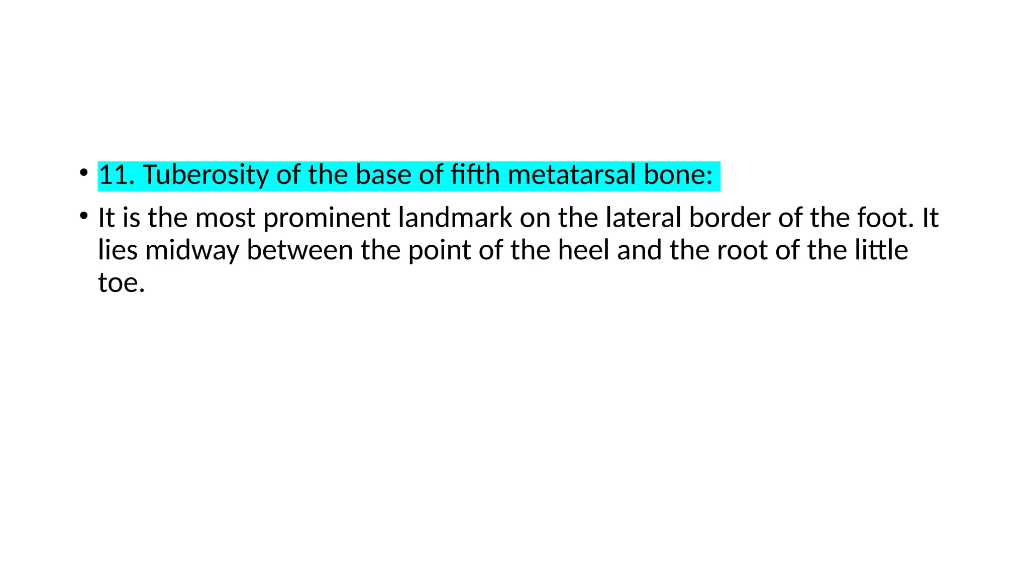 front of leg and dorsum of foot ll lecture.pptx