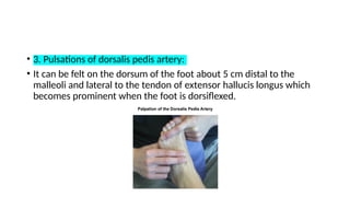 front of leg and dorsum of foot ll lecture.pptx