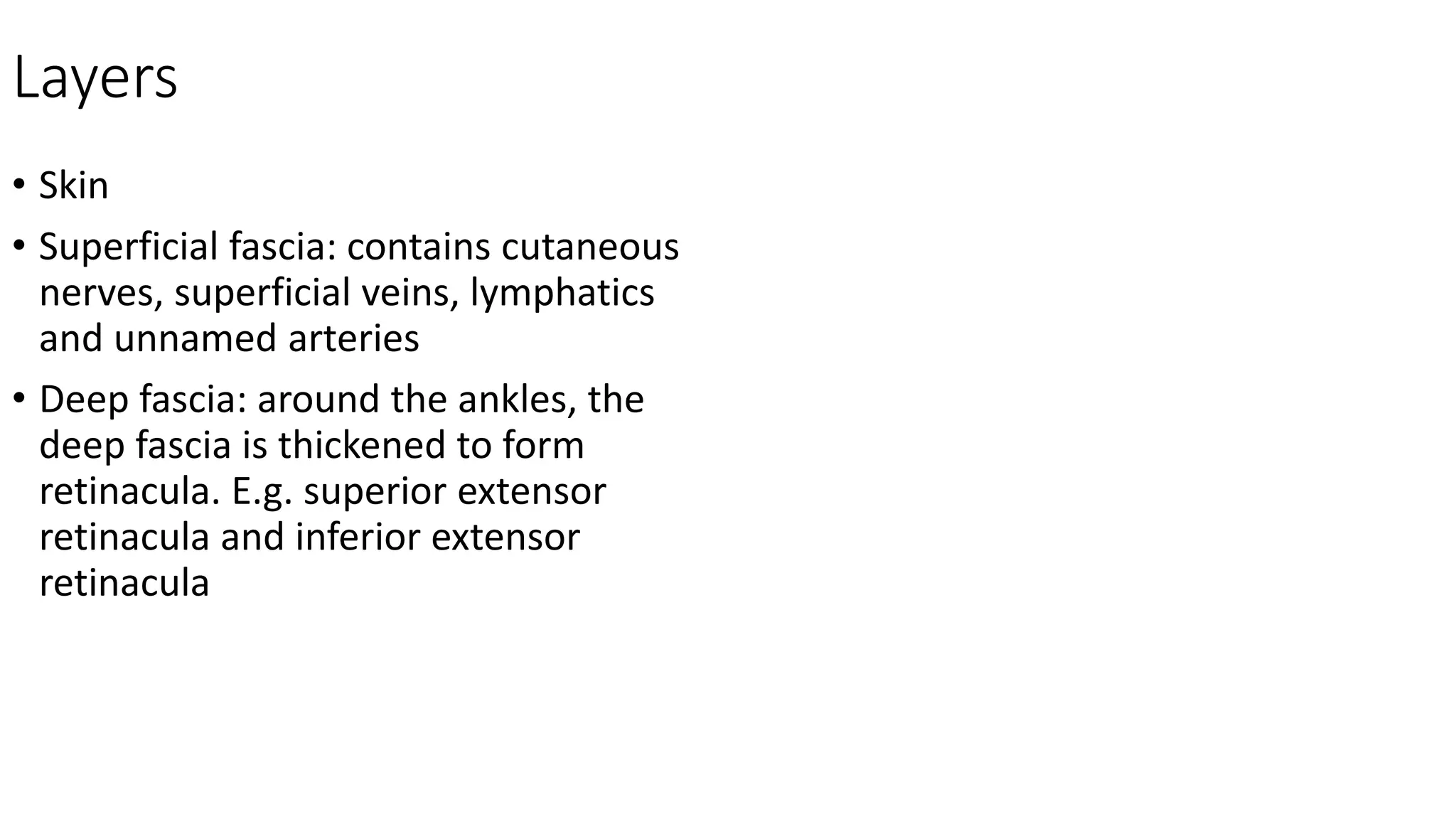 Front of the leg dorsum of foot | PPTX
