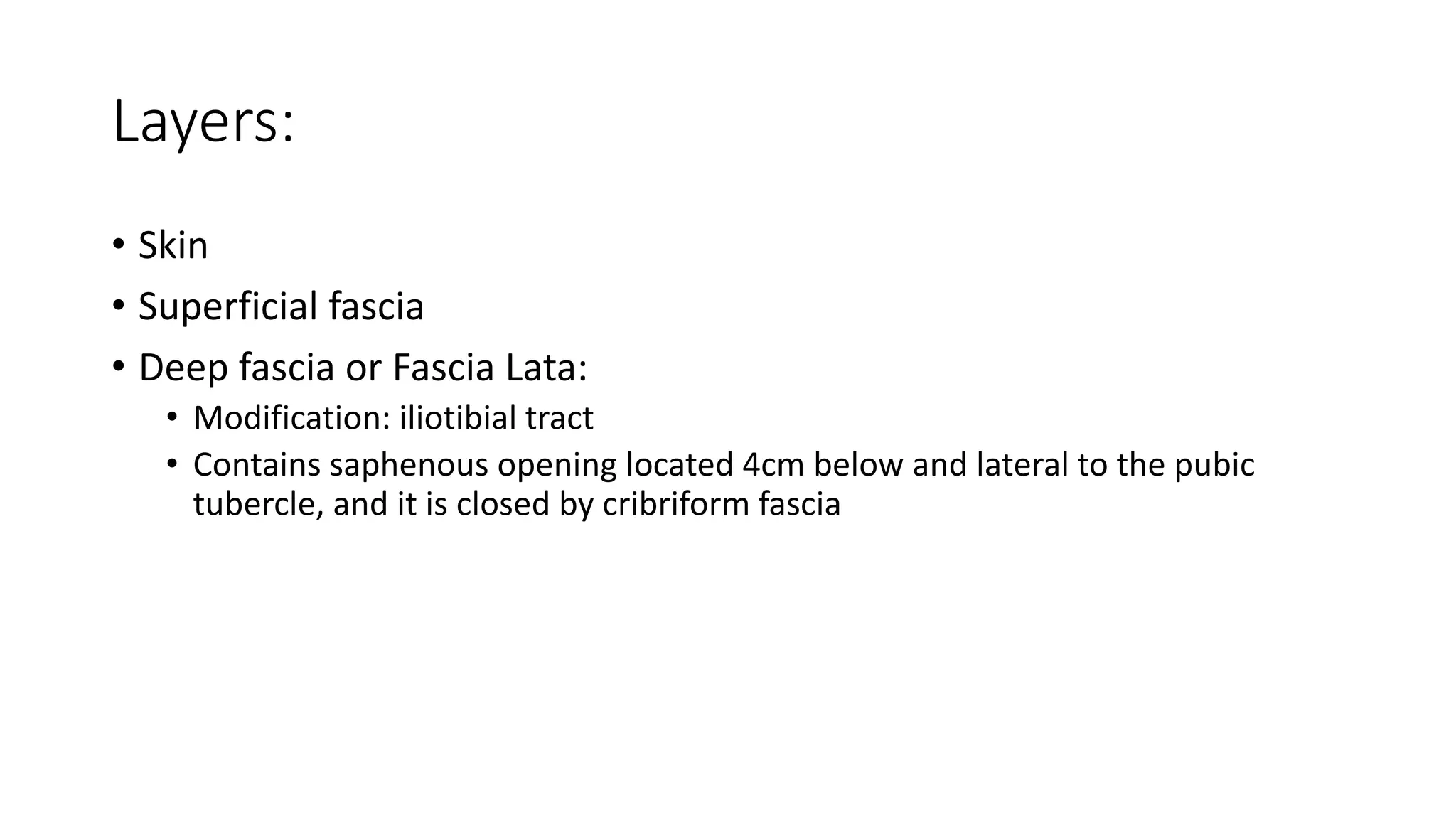 Front of the thigh | PPTX