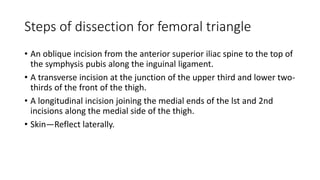 Front of the thigh | PPTX