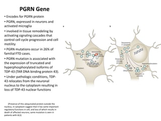 Frontotemporal dementia: Neural circuits, genetics and neuropathology ...