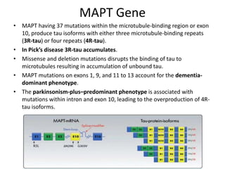 Frontotemporal dementia: Neural circuits, genetics and neuropathology ...