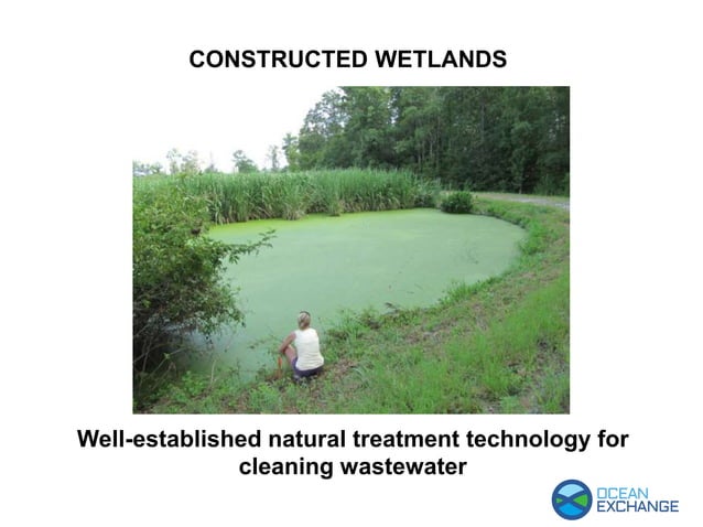 Fifty-five Solutions | PPT